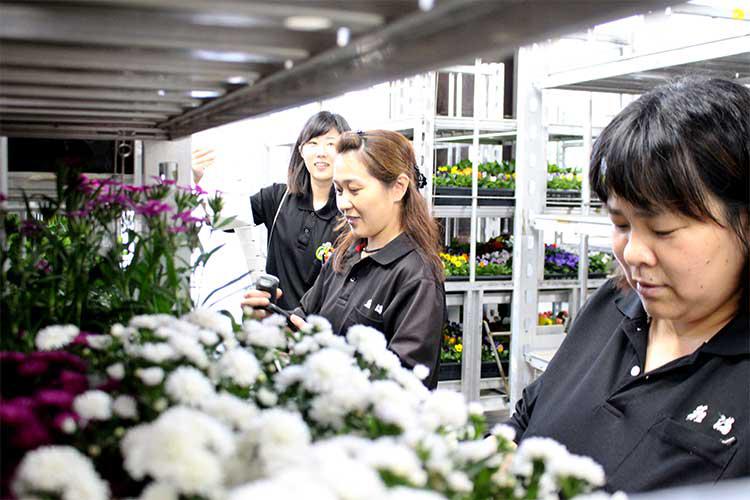 株式会社花満 - 人的資本経営ひろしま。 | 広島県